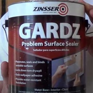 Peel Stop Vs. Gardz To Bind Peeling Paint: Key Differences And Features