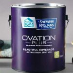 Ovation Vs. Showcase Paint: Which One To Pick?