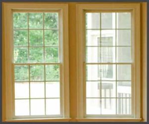 PGT Vs. CWS Windows: Which One Is For You?