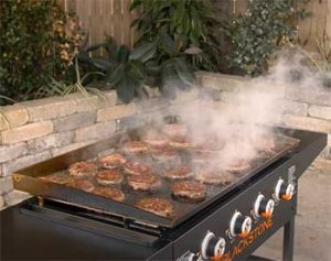 Blackstone 1866 Vs. 1932 Griddle: Key Differences And Features