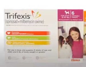 Simparica Trio Alternative You Can Consider For Your Dog