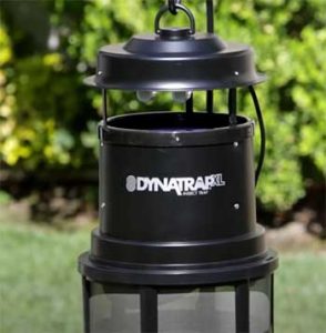 Katchy Vs. DynaTrap: An In-depth Comparison