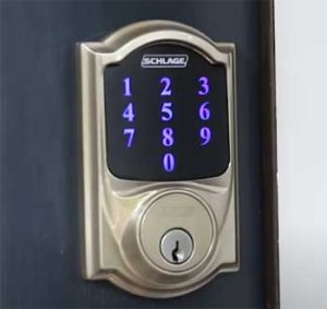 Delaney Vs. Schlage Door Locks: Which Is Better For Your Home?
