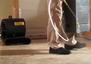 Modernistic Vs. Stanley Steemer: Which Carpet Cleaner Is Better?