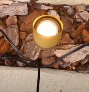 AMP Vs. Volt: Selecting The Best Landscape Lighting