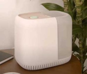 Canopy Vs. CarePod: Which Humidifier Is Right For You?