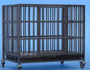 Frisco Vs. Midwest Dog Crates: In-depth Differences