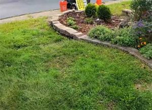 Shrub Hub Vs. Yardzen: Which Online Landscape Design Service Is Better?