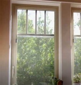 SoftLite Windows Reviews From Experience: Why I Chose It For My Home?