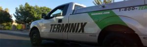 EcoShield Vs. Terminix For Pest Control: In-depth Differences