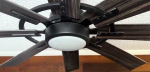 Parrot Uncle Ceiling Fan Reviews: Is It Worth It?