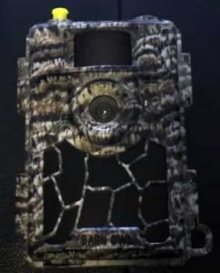 Barn Owl Camera Review From Experience: Is It Worth It?