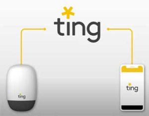 Ting Electrical Monitoring Reviews: Is It Worth It?