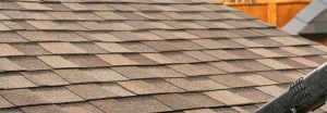 TAMKO Titan XT Reviews: Why This Roofing Shingle Stands Out?