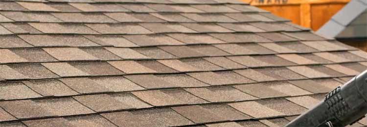 TAMKO Titan XT Reviews: Why This Roofing Shingle Stands Out?