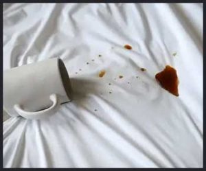 Dosaze Mattress Protector Reviews: Is It Worth It?