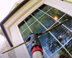 Fish Window Cleaning Reviews From Experience: Is It Worth It?