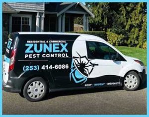 ClearDefense Pest Control Reviews From Experience: Is It Worth It?