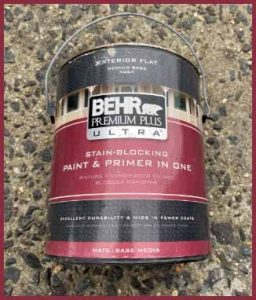 KILZ Mold And Mildew Primer Reviews: Is It Worth It?
