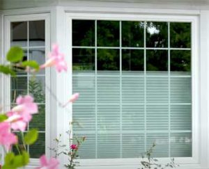 ClimateGuard Windows Reviews From Experience: Is It Worth It?