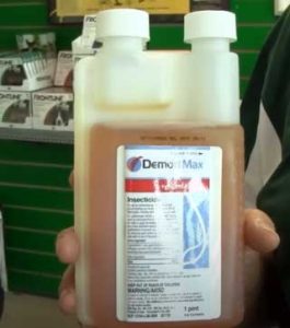 Demon Max Insecticide Reviews From Experience: Is It Worth It?