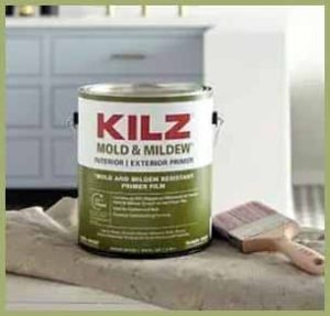 KILZ Mold And Mildew Primer Reviews: Is It Worth It?
