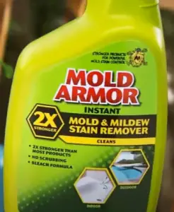 MOLD ARMOR Rapid Clean Remediation Reviews: Why You Should Buy It?