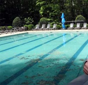 Cool Pool Deck Coating Reviews: Why It Is A Game-Changer For Your ...