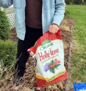 Holly-Tone Vs. Plant-Tone: Which Organic Fertilizer Wins For Your Garden?