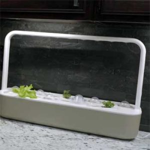 Click and Grow Reviews: Why You Should Get The Smart Garden Today?